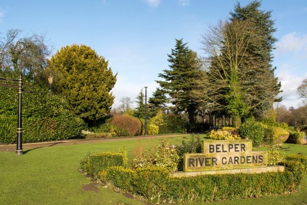 Getting Out And About In Belper - The Lion